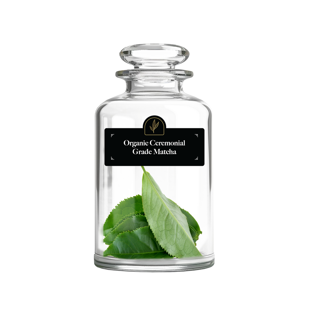 Monarch Matcha - Sip Your Skincare | Home of Kandake | Home of Kandaké